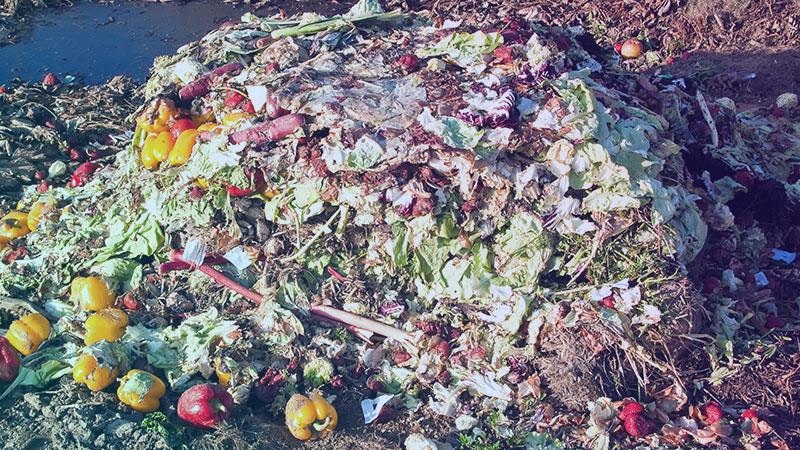 What Happens When Food isn't Stored Properly - Sigfox 0G Technology